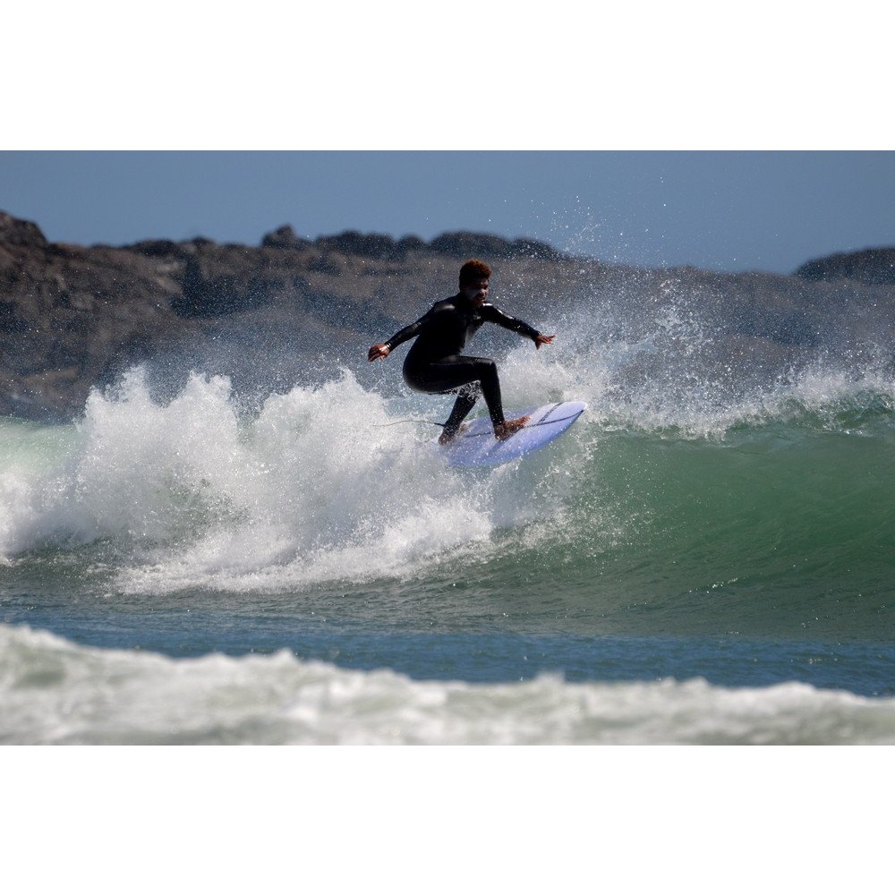 Pig Whale v3 custom, 699,00